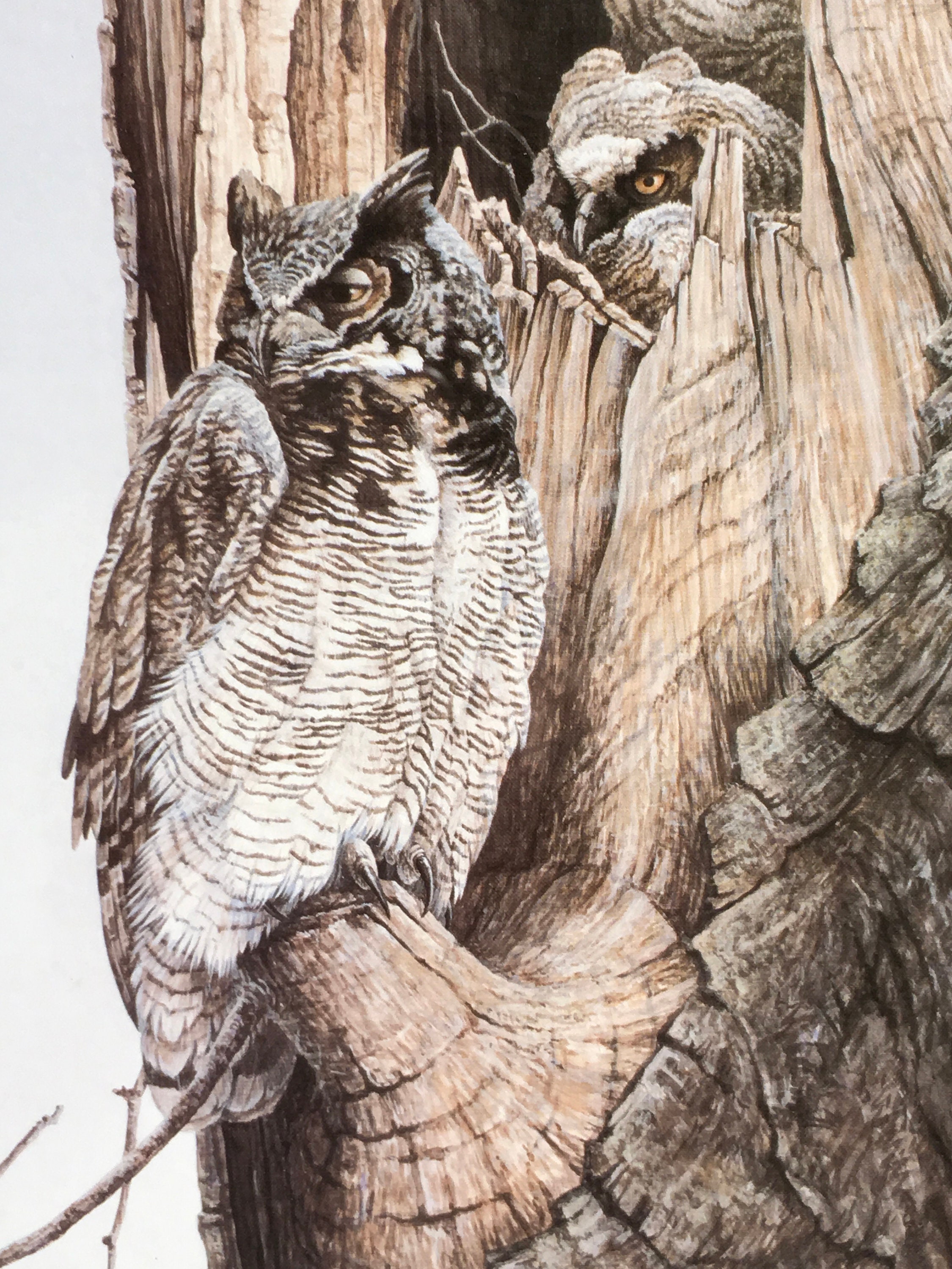 Great Horned Owl Signed by the Canadian Artist Gary Low - Etsy