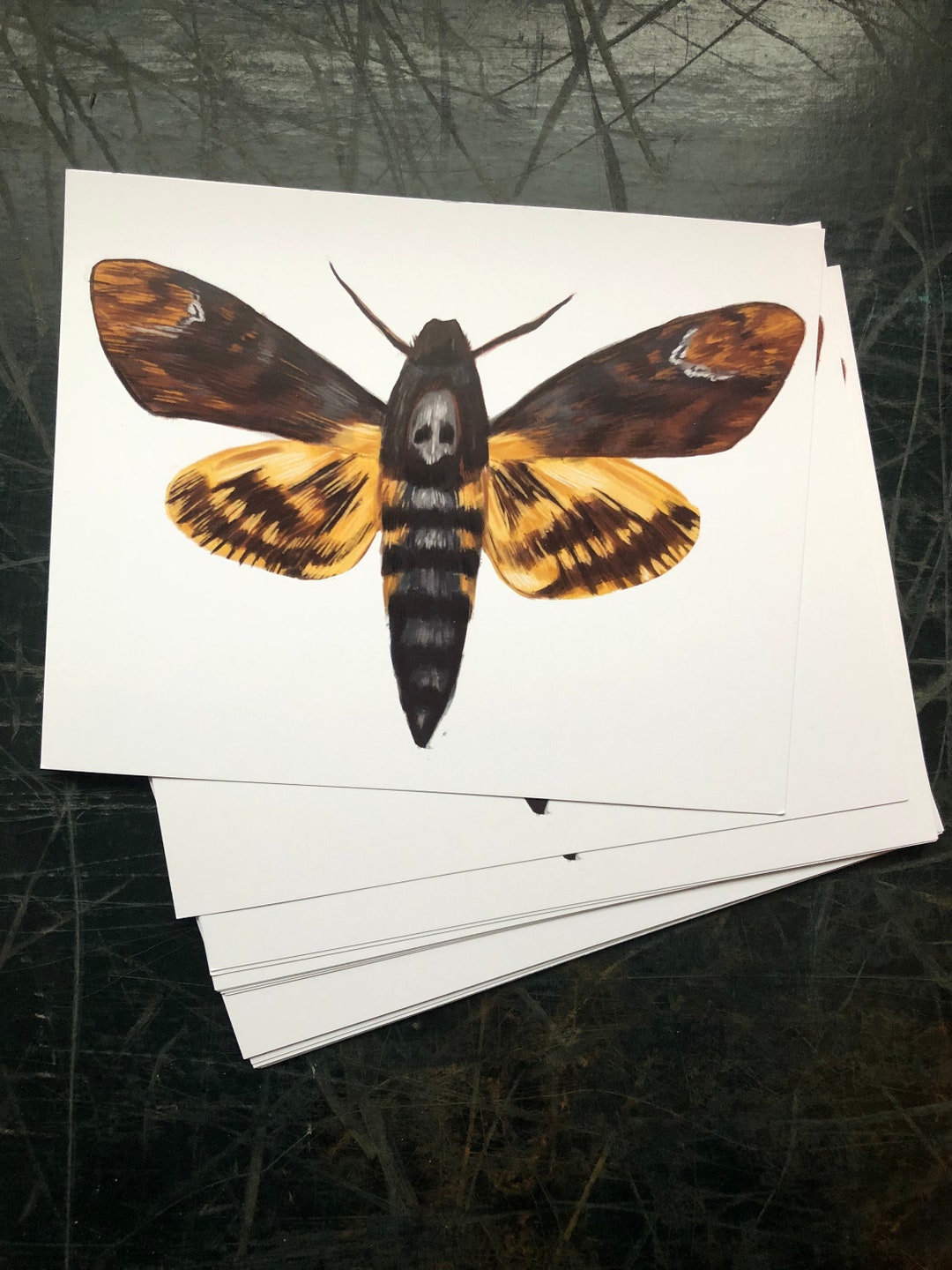 Deathshead Hawk-moth Print - Etsy