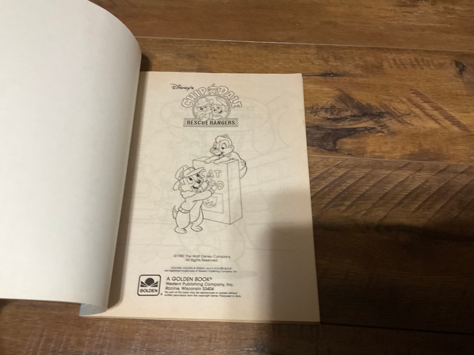 1989 Chip N Dale Rescue Rangers Giant Coloring Book New - Etsy