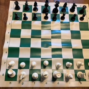 Vintage Large Chess Set in Carrying Case - Etsy