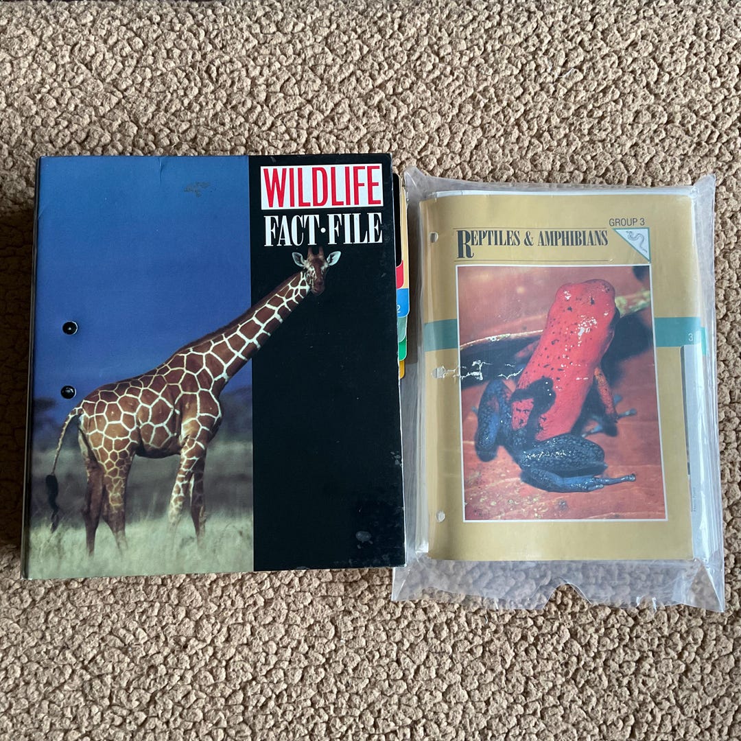 1990’s Wild Life Fact File Binder W/extras - Etsy