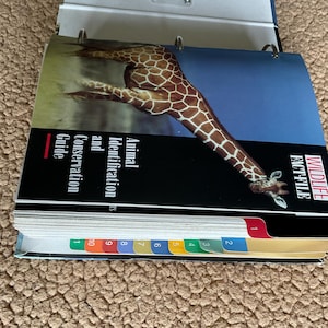 1990s Wild Life Fact File Binder W/extras - Etsy