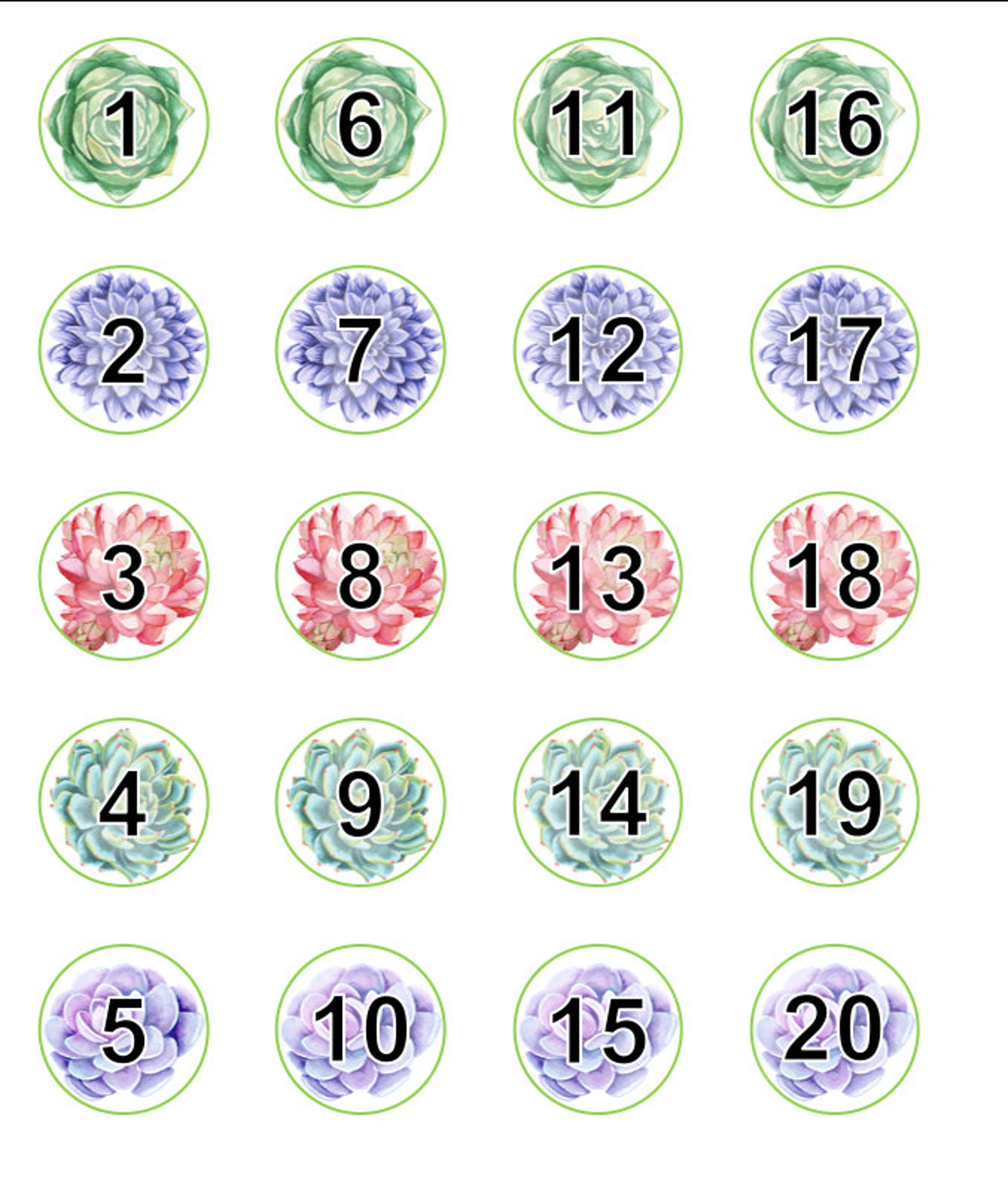 Succulent Calendar Set (digital Download), Calendar, School Calendar ...