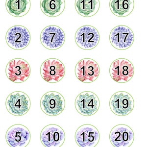 Succulent Calendar Set (digital Download), Calendar, School Calendar ...