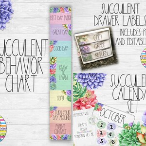 Succulent Classroom Bundle (digital), Classroom Theme, Back to School ...