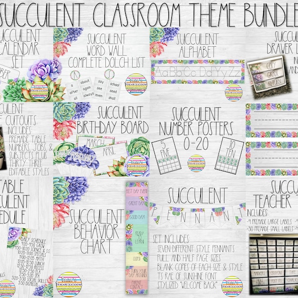 Succulent Decor - Etsy