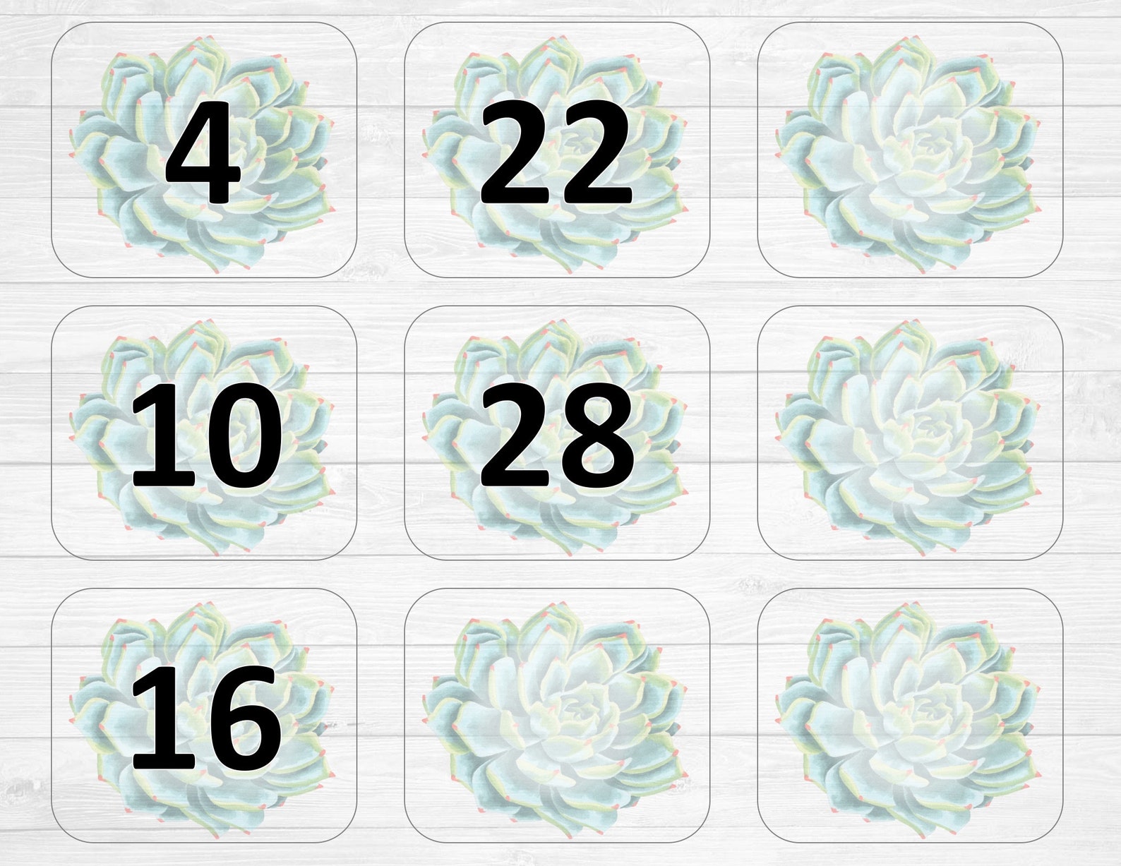 Succulent Calendar Set (digital Download), Calendar, School Calendar ...