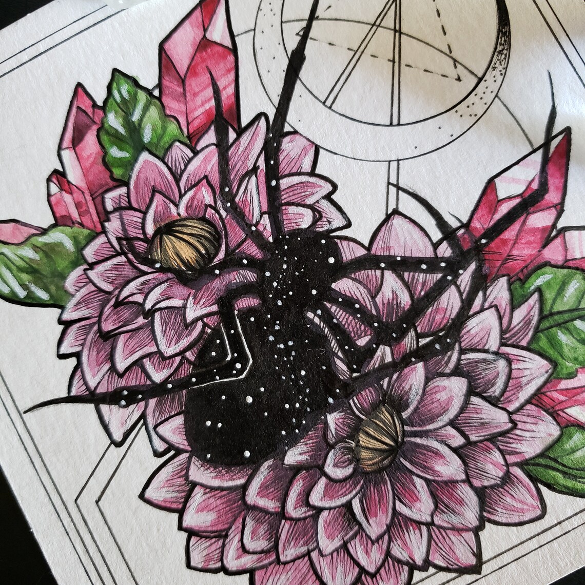 Spider Art Print Unique Animal Art Spider Print Spider Wall | Etsy