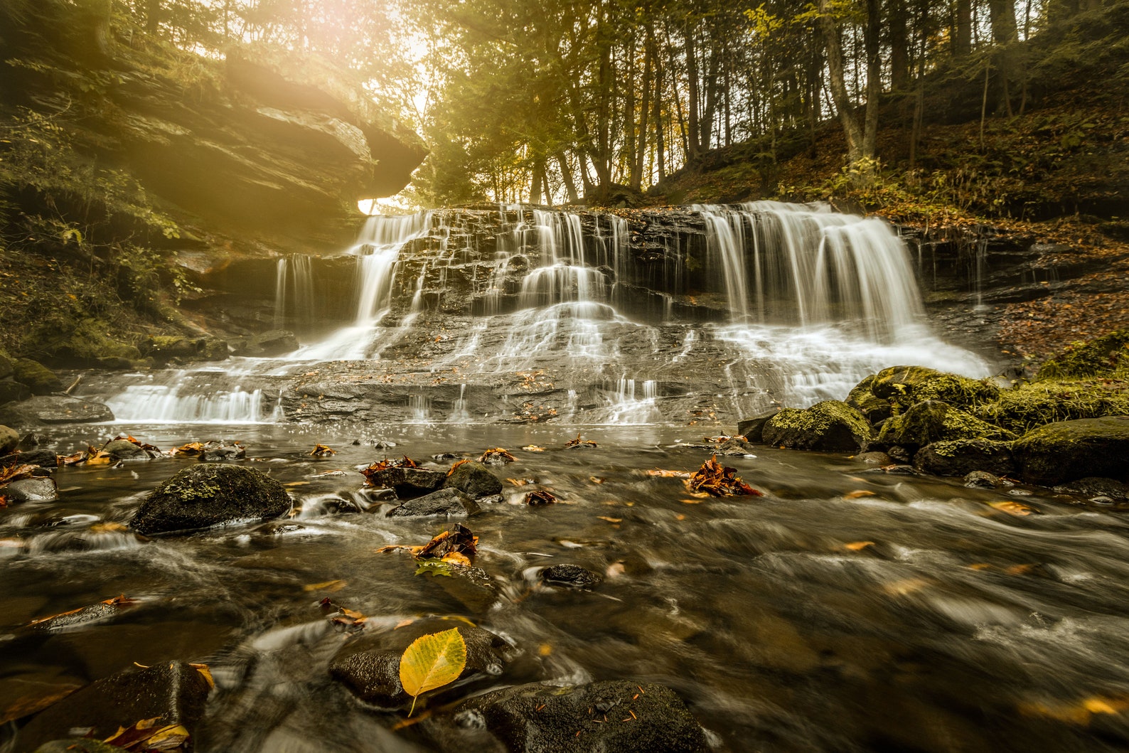 Springfield Falls - Waterfall in Western Pennsylvania - Etsy