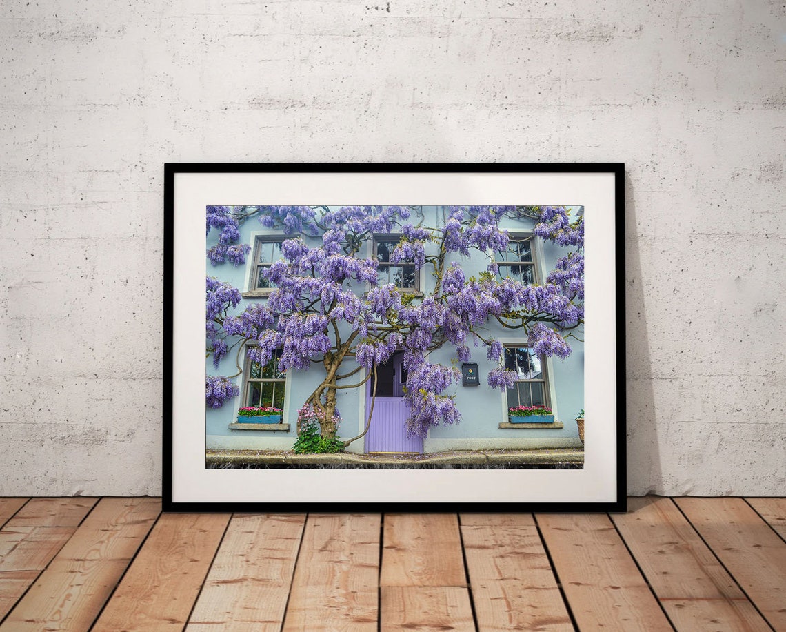 Wisteria House - Etsy