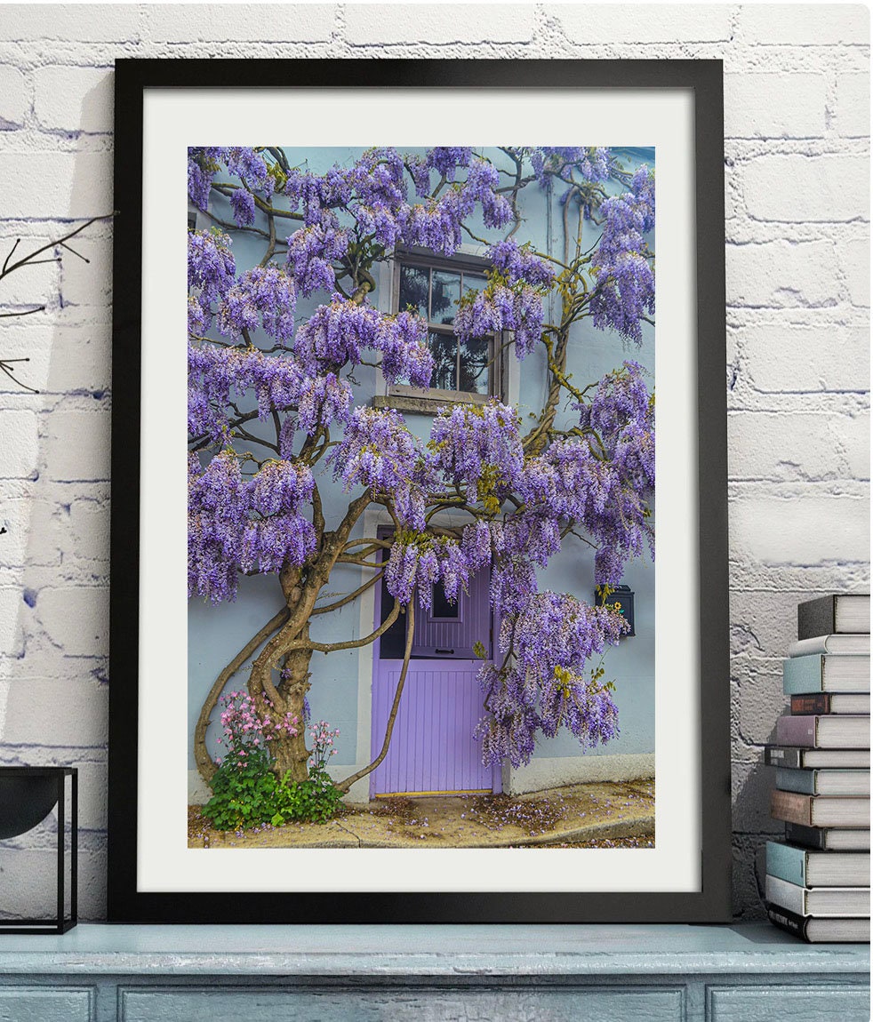 Wisteria House - Etsy