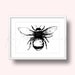 Bee Sketch Art Print - Etsy