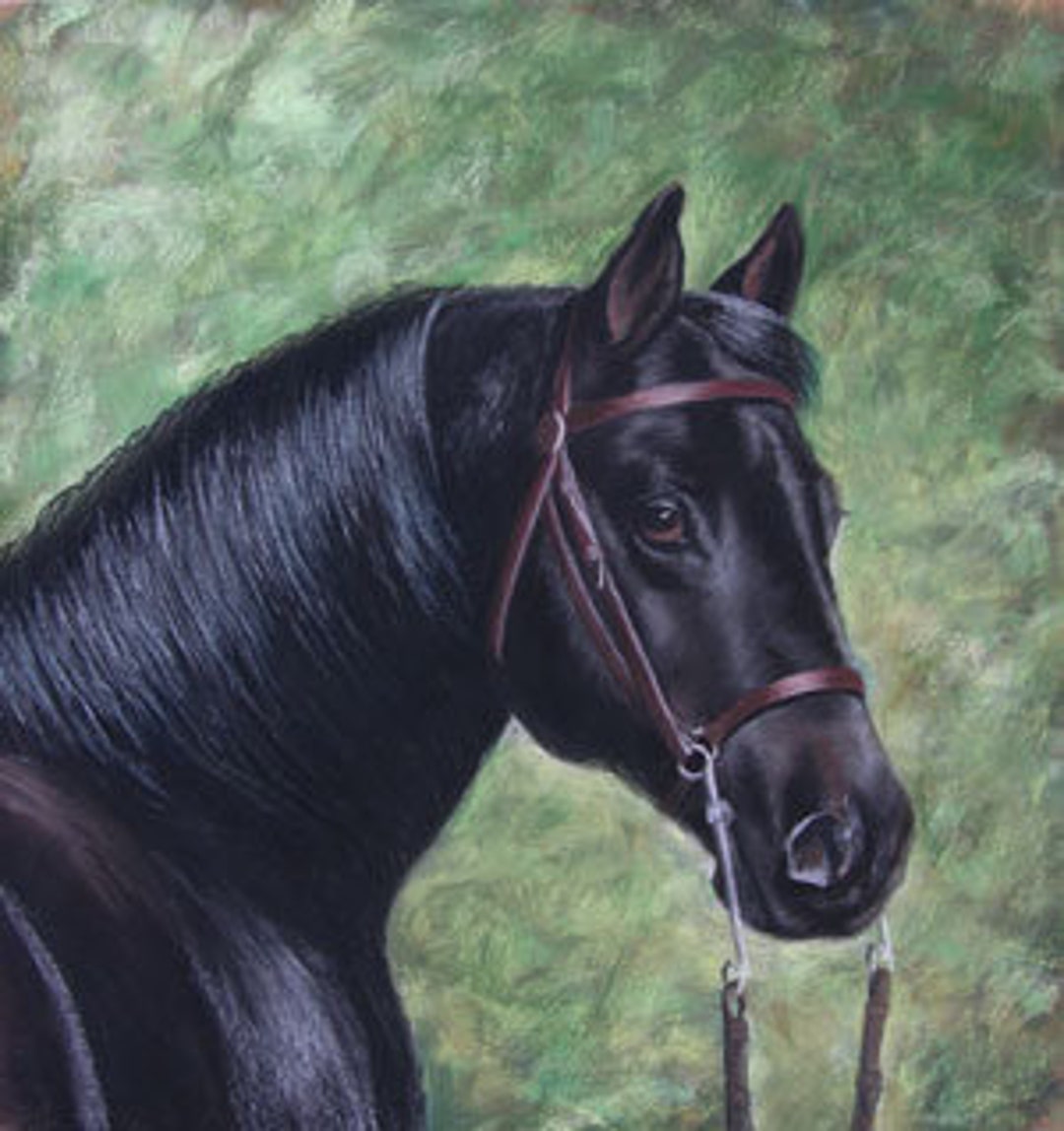 Morgan Mare - Original Pastel Drawing on Textured Paper, Framed and ...