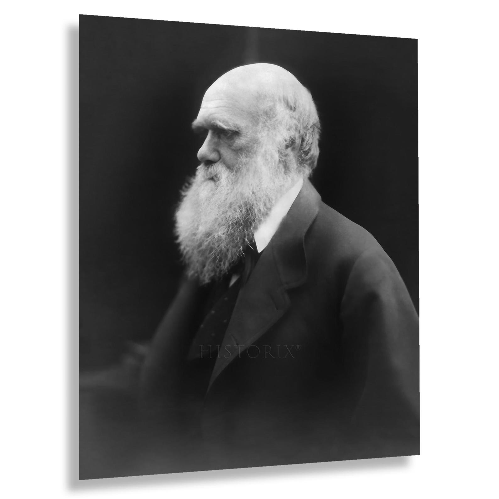 1870 Charles Darwin Photo Print - Vintage Photo of Theory of Evolution ...