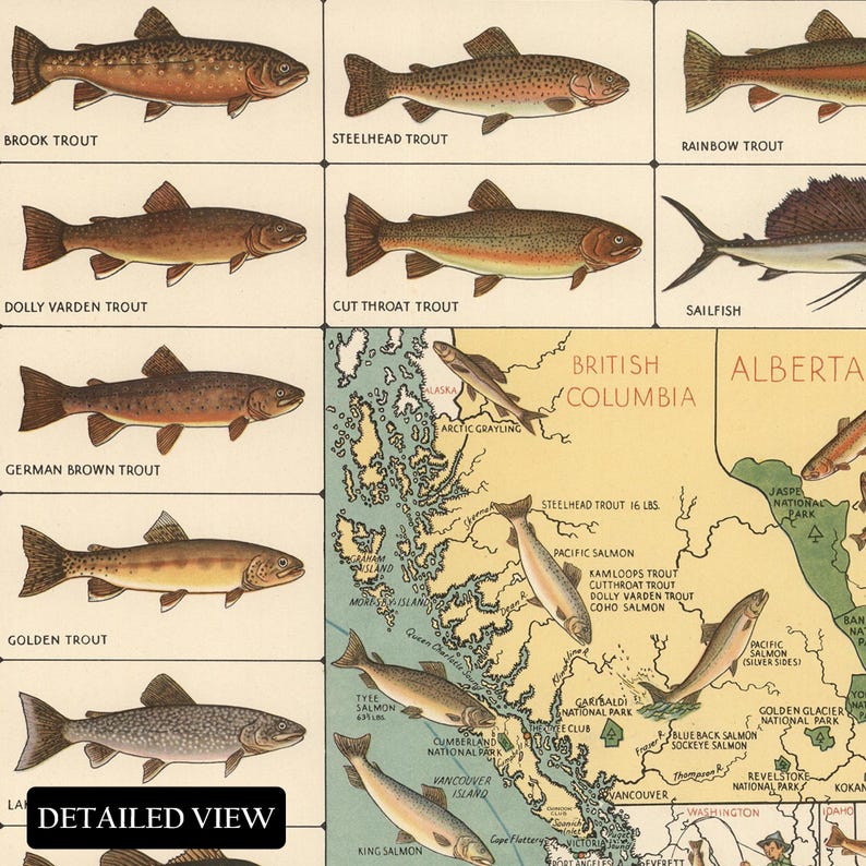 1936 Big Game Fish Map Poster - Vintage Map of Big Game Fish Fresh and ...