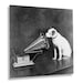1898 Nipper the Dog Photo Print - Vintage Dog Poster Wall Art Looking ...