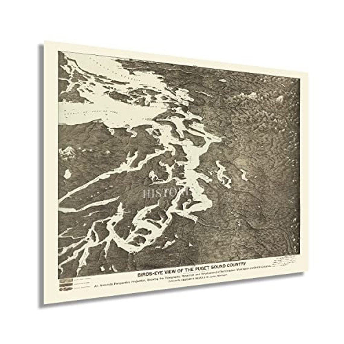 1891 Puget Sound Map Old Puget Sound Wall Map Bird's - Etsy