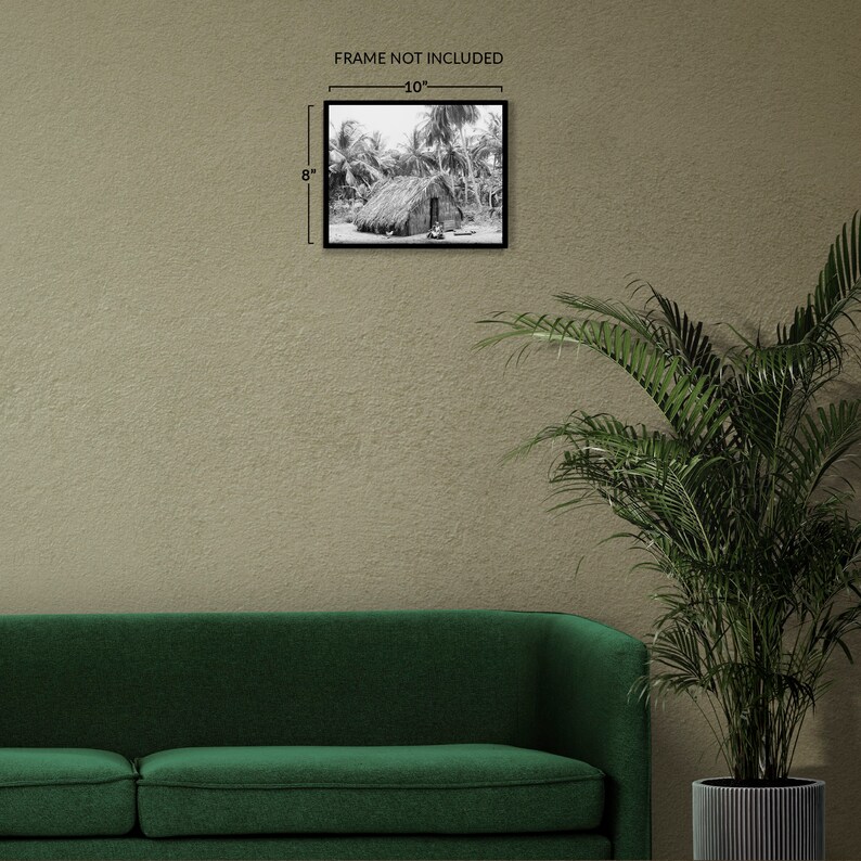1903 Typical Puerto Rican Hut Print Photo Vintage Photo of A - Etsy