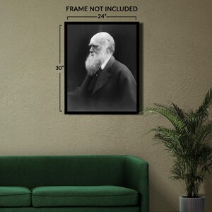 1870 Charles Darwin Photo Print - Vintage Photo of Theory of Evolution ...
