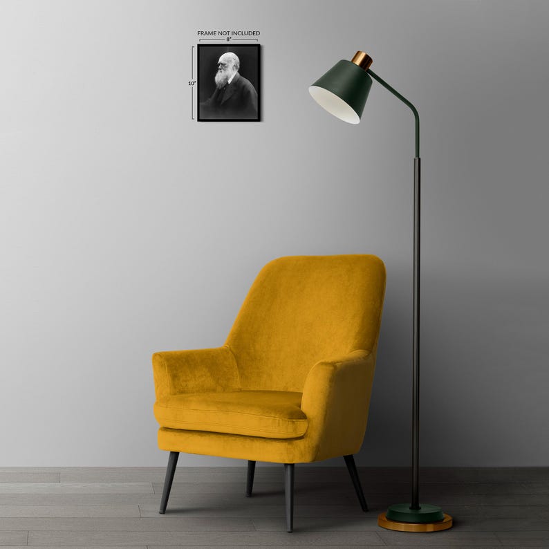 1870 Charles Darwin Photo Print Vintage Photo of Theory of Evolution by ...