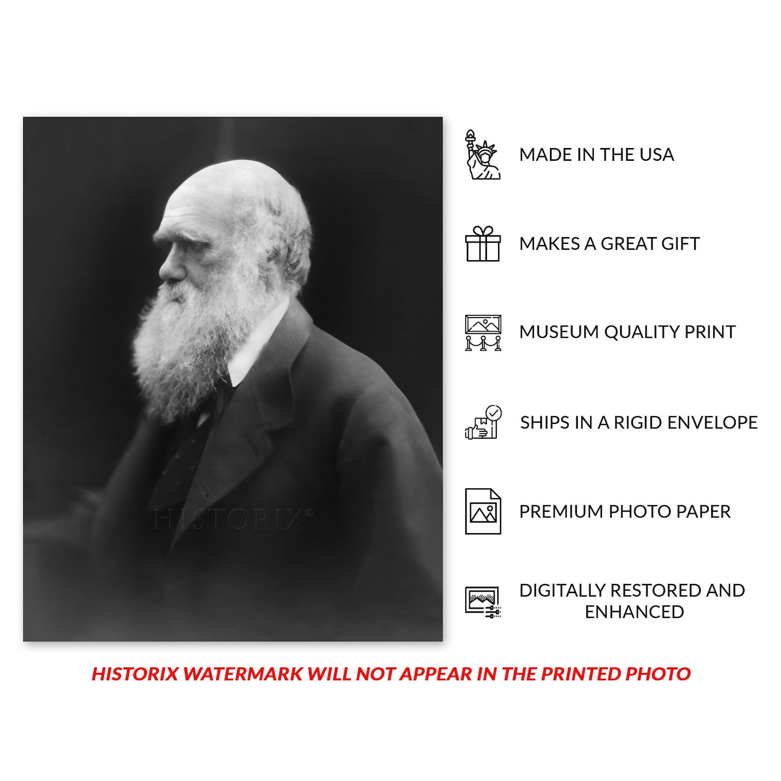 1870 Charles Darwin Photo Print - Vintage Photo of Theory of Evolution ...