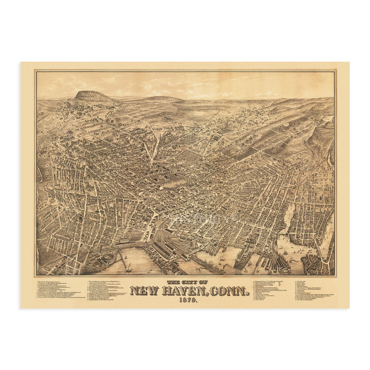 1879 New Haven Connecticut Map - Vintage New Haven Map - Bird's Eye ...