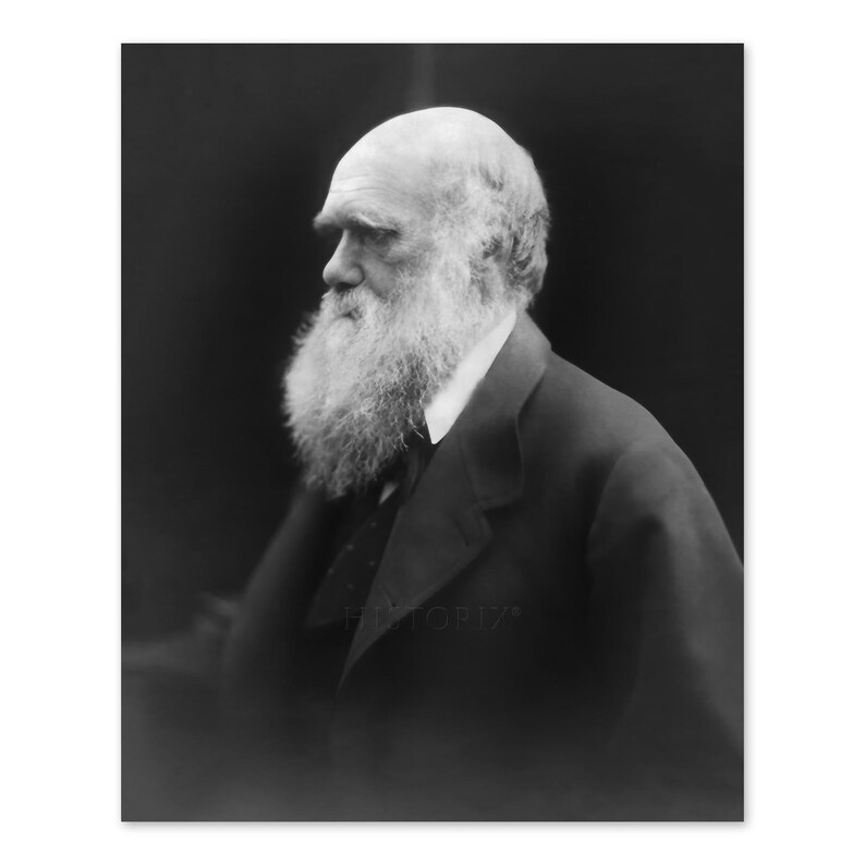 1870 Charles Darwin Photo Print - Vintage Photo of Theory of Evolution ...