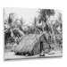 1903 Typical Puerto Rican Hut Print Photo - Vintage Photo of A Typical ...