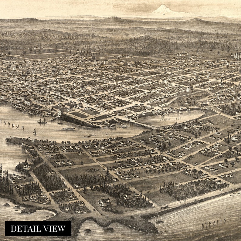 1878 Victoria Canada Map Old Victoria BC Canada Map - Etsy