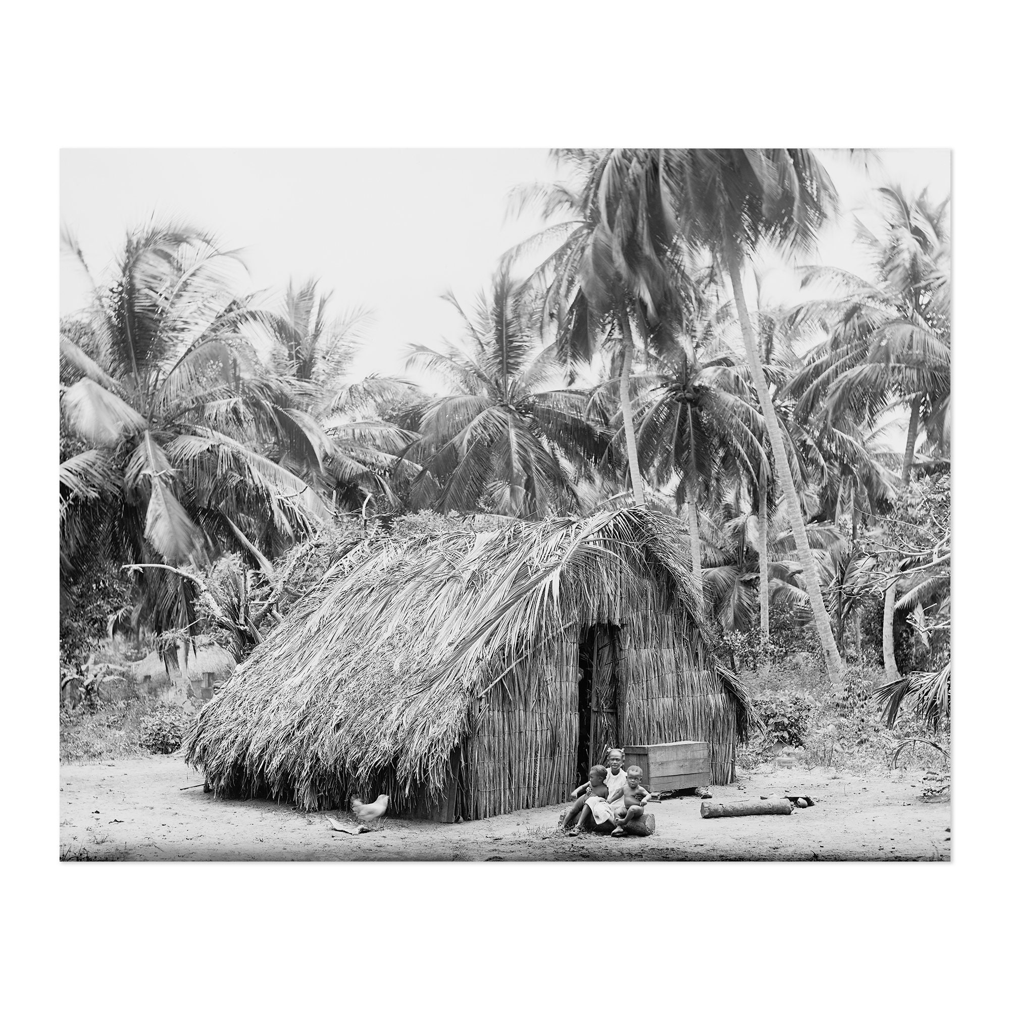 1903 Typical Puerto Rican Hut Print Photo Vintage Photo of A - Etsy