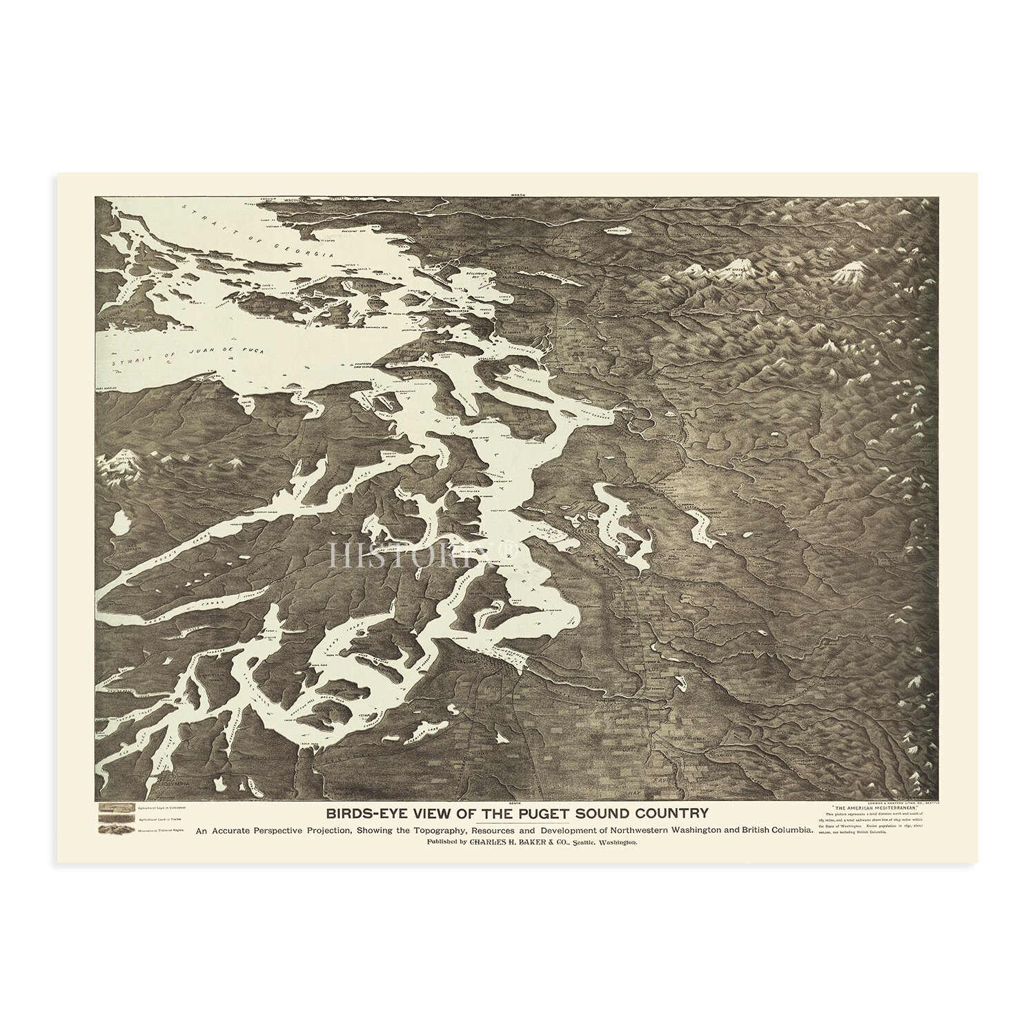 1891 Puget Sound Map Old Puget Sound Wall Map Bird's - Etsy