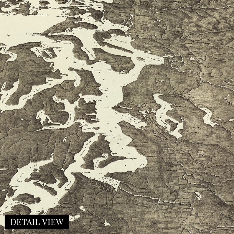 1891 Puget Sound Map Old Puget Sound Wall Map Bird's - Etsy