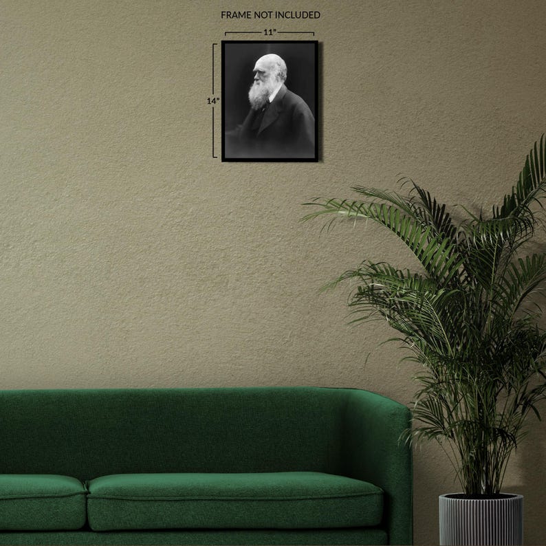 1870 Charles Darwin Photo Print - Vintage Photo of Theory of Evolution ...