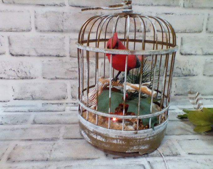Singing Cardinal in Cage and on Branch With Pine Branches and Lights ...