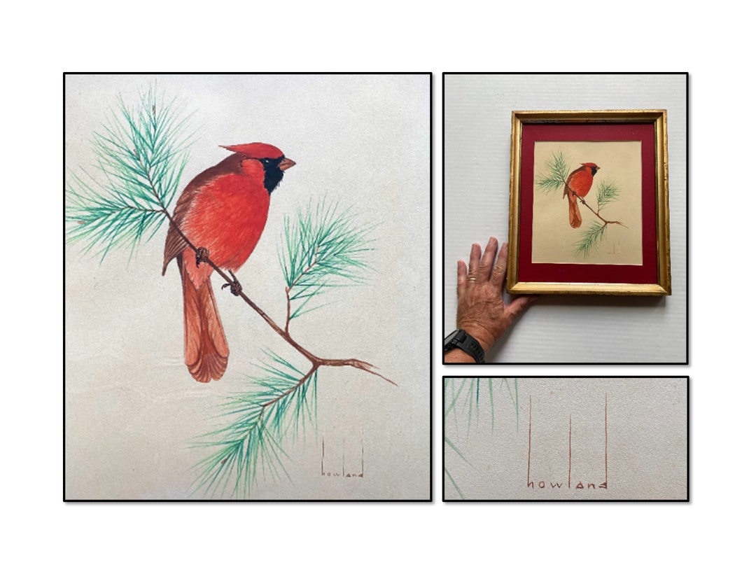 Red Cardinal Original Watercolor by Douglas Howland (1920-1999), Bird ...