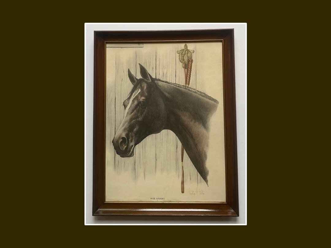 Vintage Racehorse Lithograph by Franklyn Stokes , Champion Thoroughbred ...