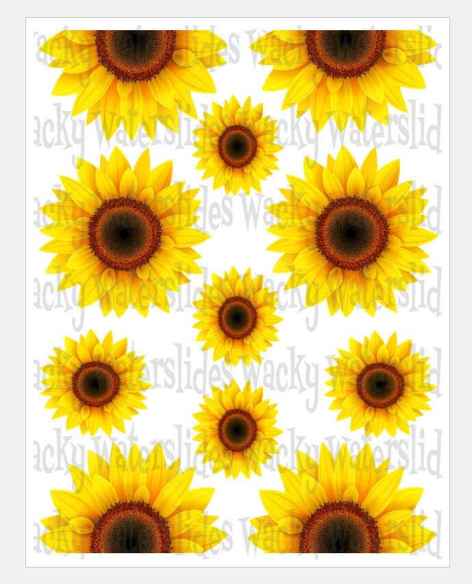 PRINTED Clear Sunflower Waterslide for Tumblers Popular - Etsy