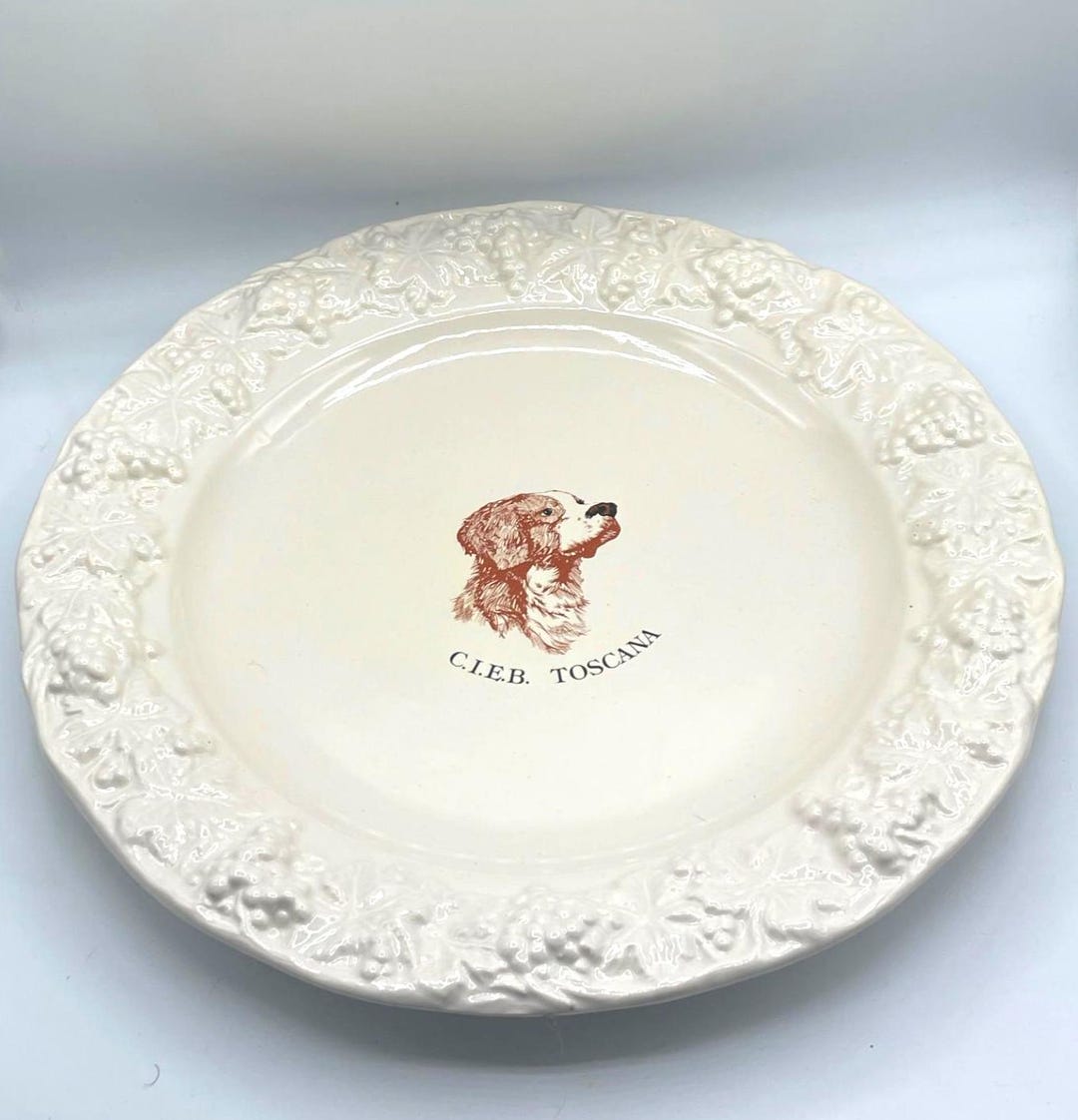 C.I.E.B. Toscana Plate Which Features a Bernese Mountain Dog - Etsy