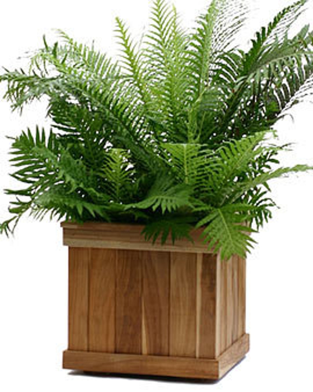 20 Inch Cube Teak Planter, Solid Teak Wood, Fully-assembled, Stainless ...