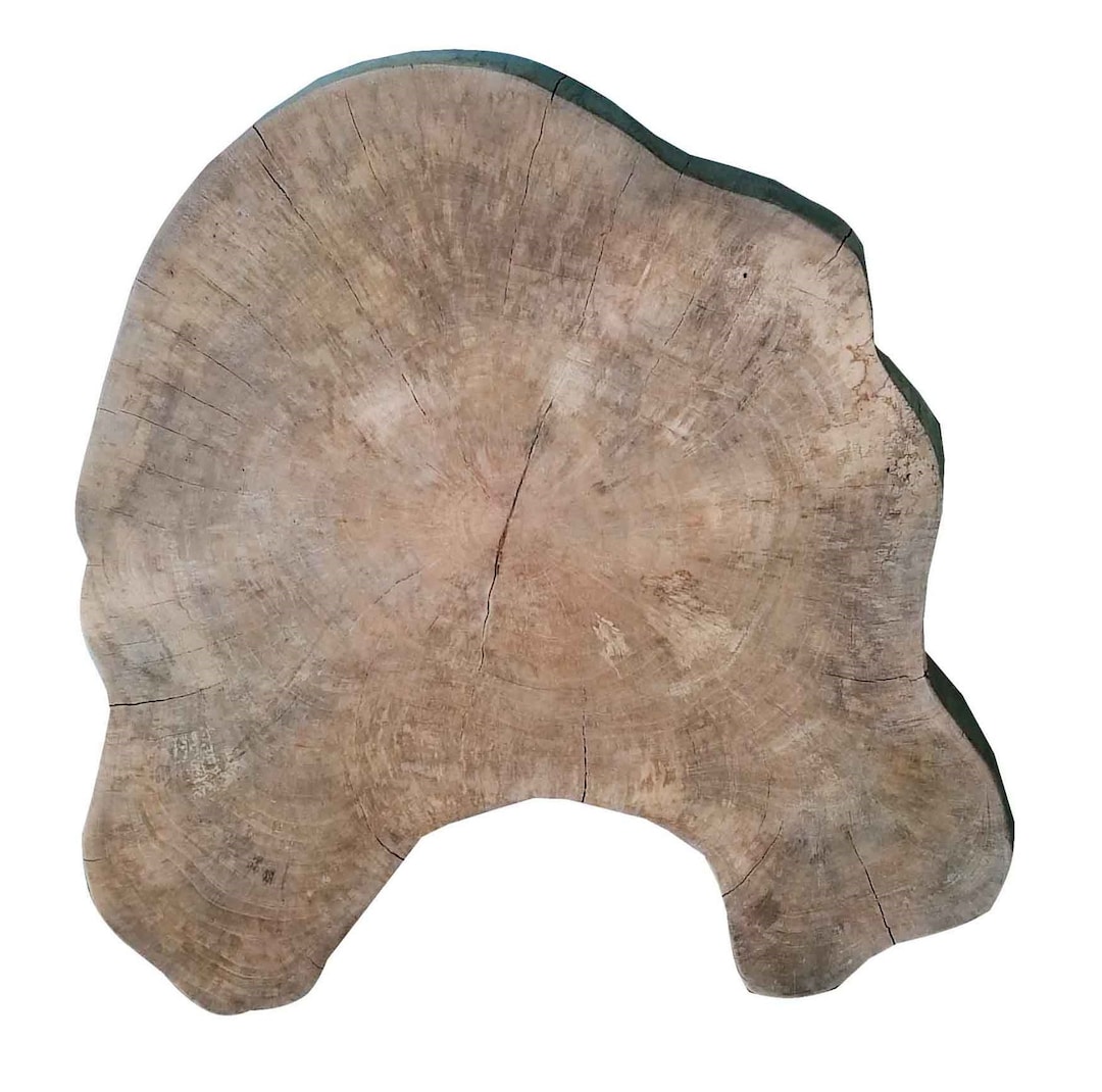 Wooden Mango Crosscut, Kiln Dried and Sanded, Ready to Use, Easy to ...