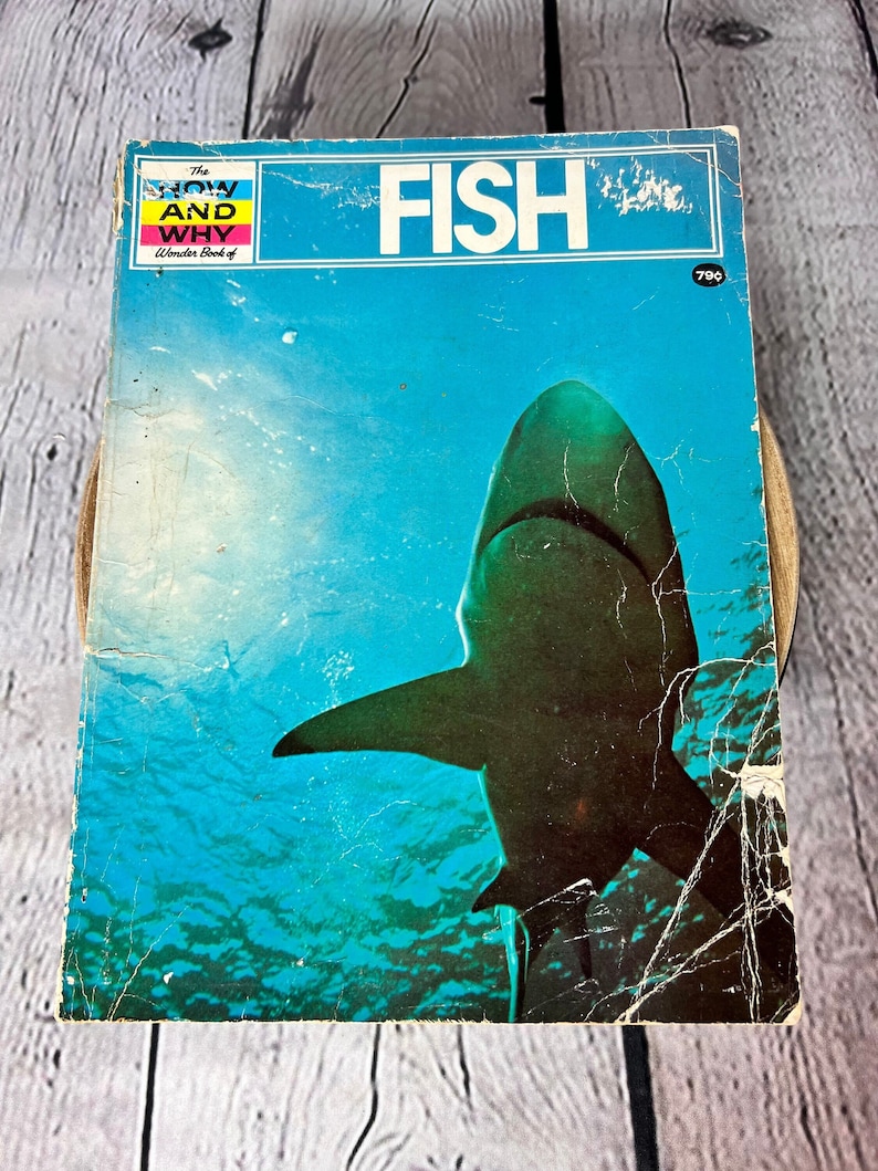 Vintage the How and Why Wonder Book of Fish 1975 - Etsy