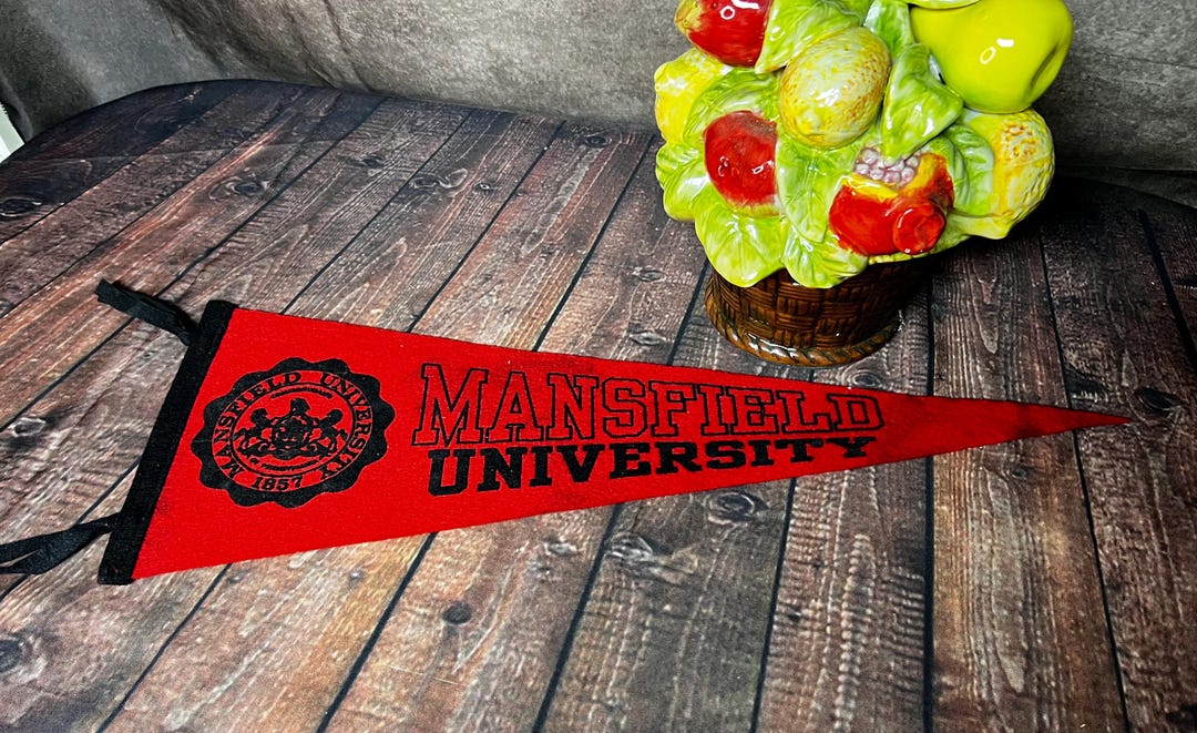 Vintage 1980s Mansfield University Felt Pennant - Etsy