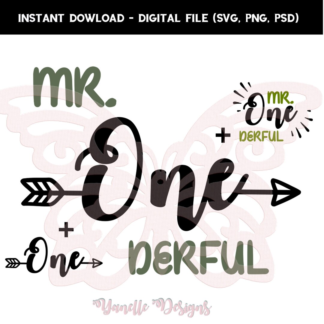 Mr Onederful Svg Files, Cut File, Vector Cutting Files, Svg Bundle ...