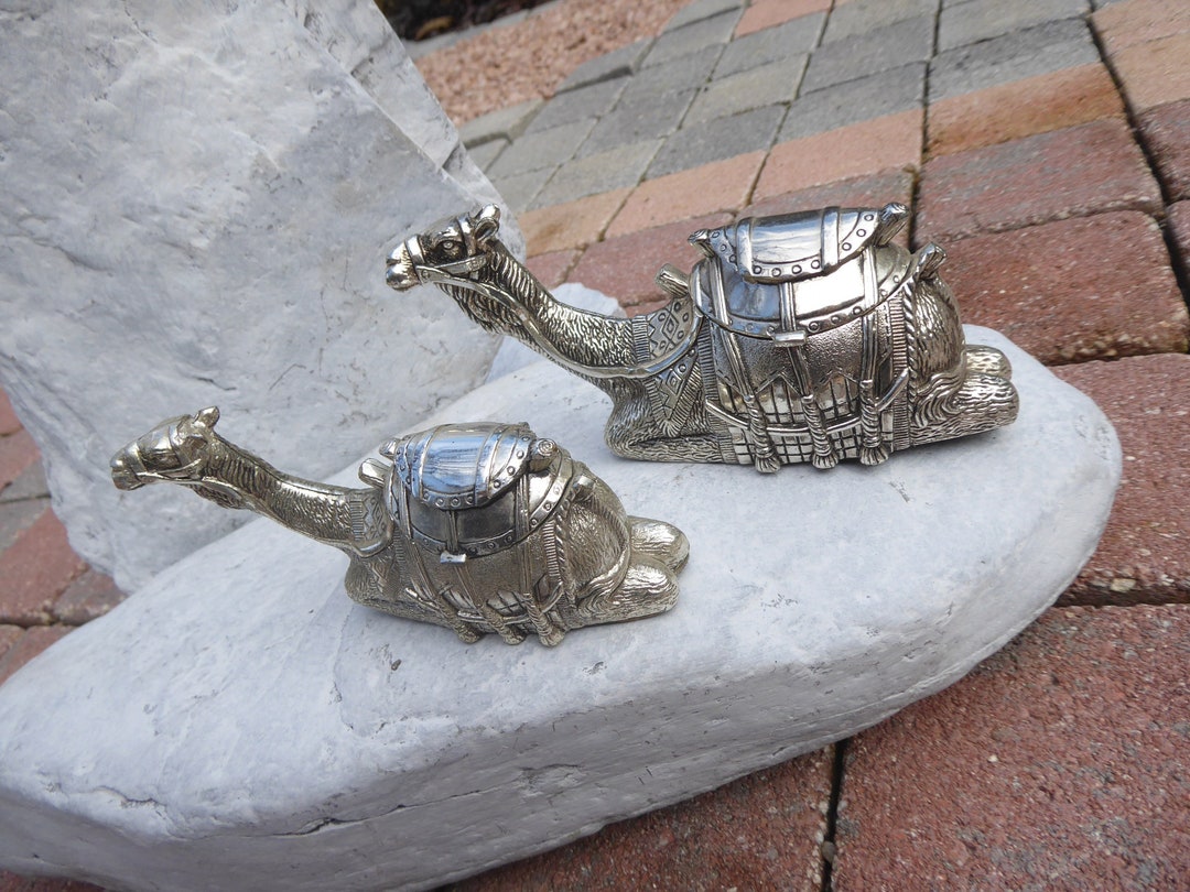 Silver Metal Camel Box (2 Sizes) - Etsy