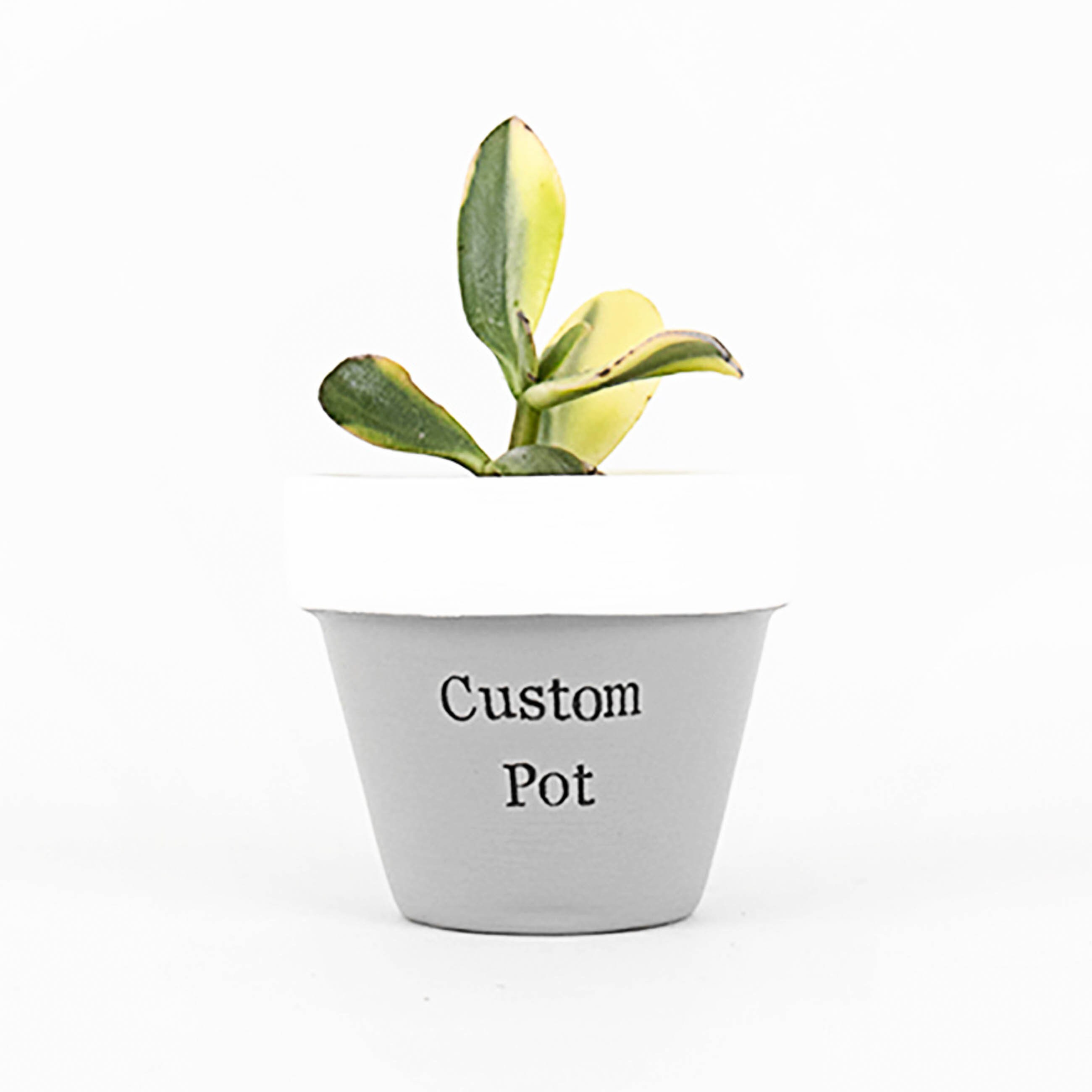 Custom Pot Personalized Birthday T Personalized Planter Etsy