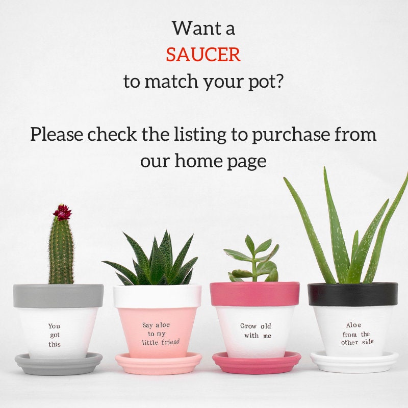 Bible verses printed on bottom Handmade with rice straw Plant and ...