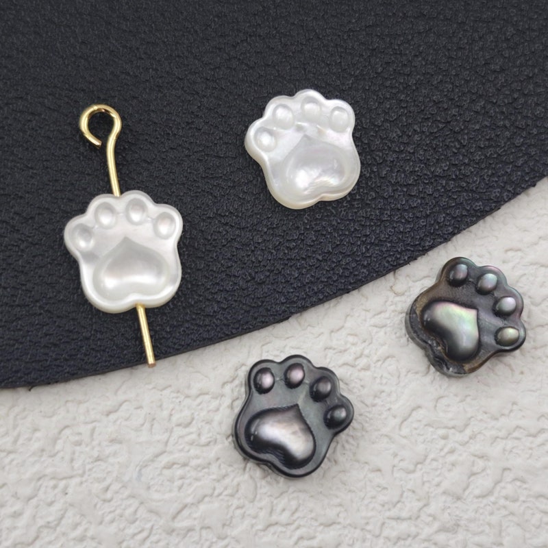 Cats Paw Shell - Etsy