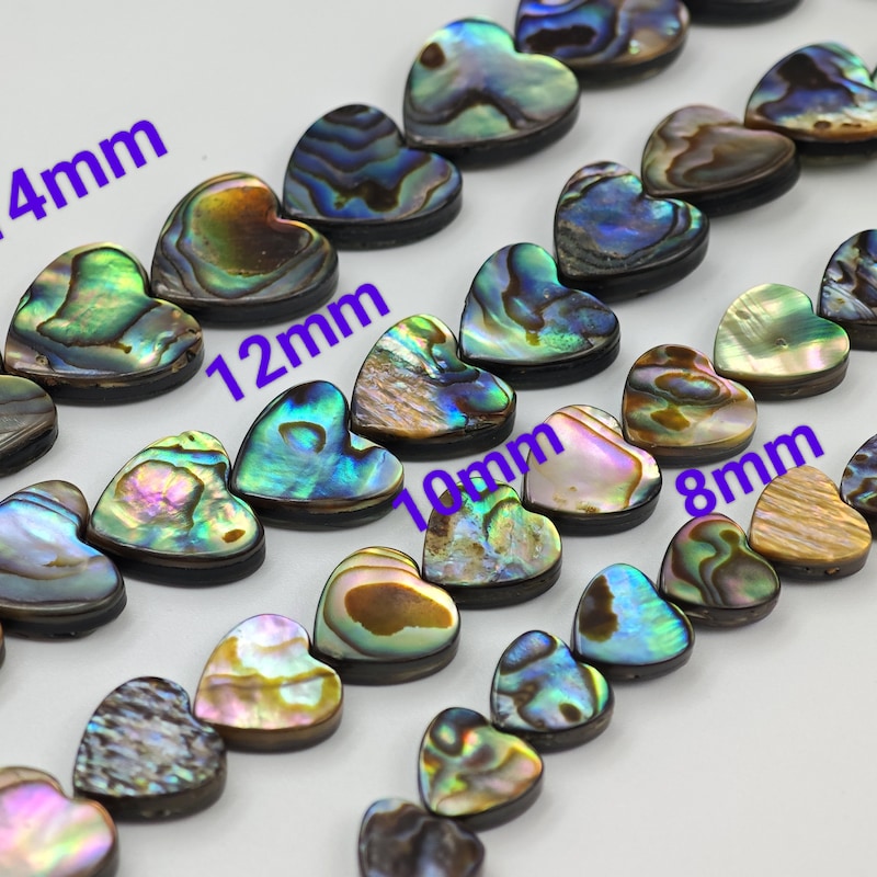 Abalone Bead Drilled - Etsy