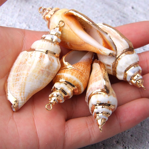 20/40pcs Natural Sea Shells Cowrie Shell Gold Plated Shell | Etsy