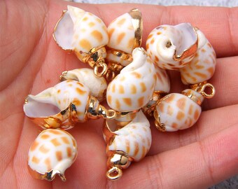 5/10/20pcs Natural Sea Shells Cowrie Shell Gold Plated Shell | Etsy
